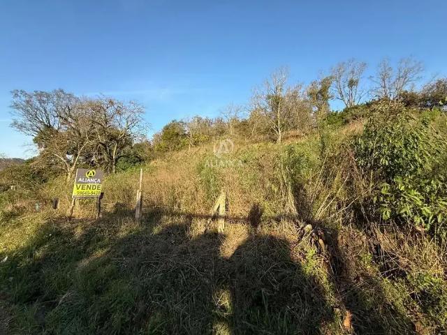 Terreno / Lote para Venda em Bento Gonçalves/RS Barracão