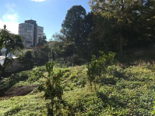 Terreno / Lote para Venda em Bento Gonçalves/RS Borgo