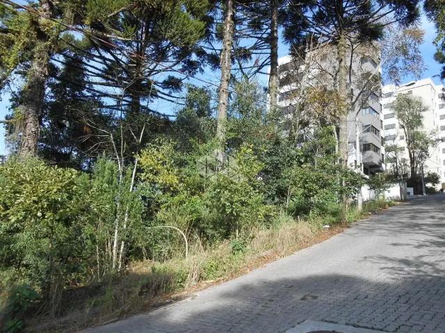 Terreno / Lote para Venda em Bento Gonçalves/RS Borgo