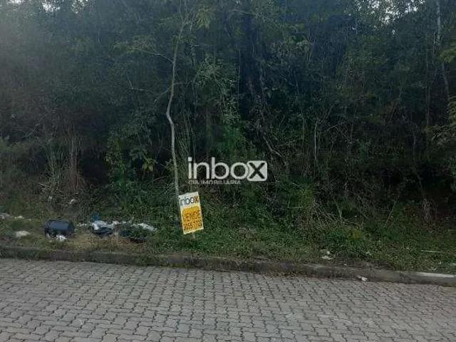 Terreno / Lote para Venda em Bento Gonçalves/RS Borgo
