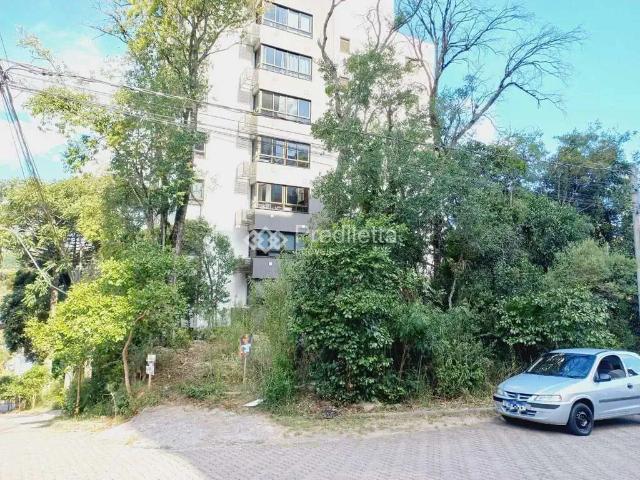 Terreno / Lote para Venda em Bento Gonçalves/RS Borgo