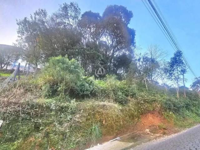 Terreno / Lote para Venda em Bento Gonçalves/RS Botafogo