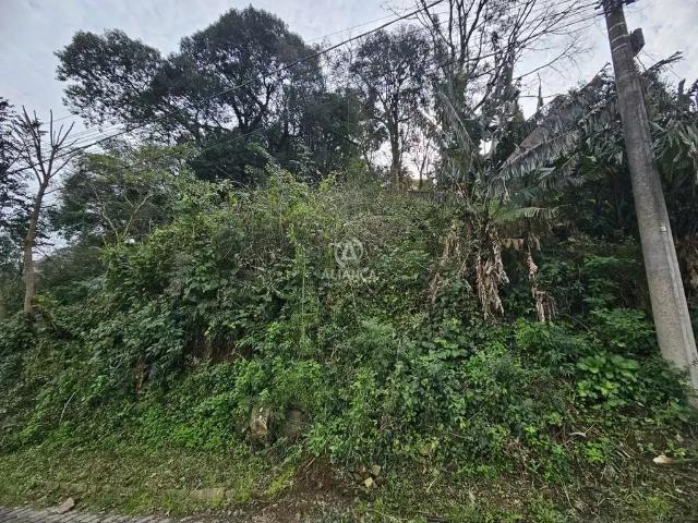 Terreno / Lote para Venda em Bento Gonçalves/RS Botafogo