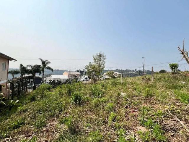 Terreno / Lote para Venda em Bento Gonçalves/RS Caminho da Eulália