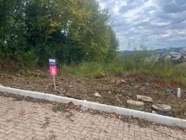 Terreno / Lote para Venda em Bento Gonçalves/RS Caminho da Eulália