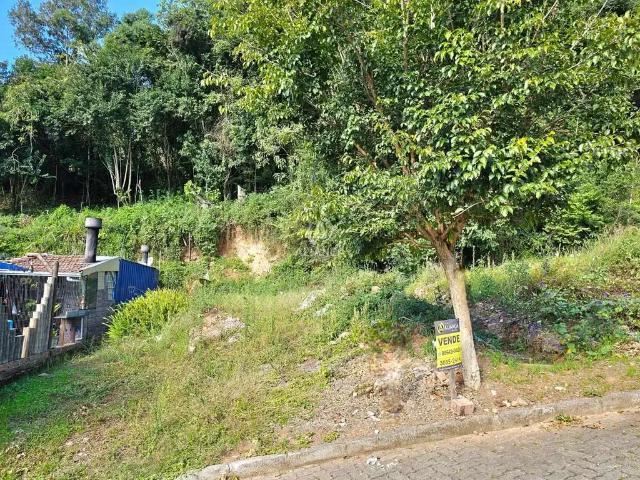 Terreno / Lote para Venda em Bento Gonçalves/RS Caminho da Eulália