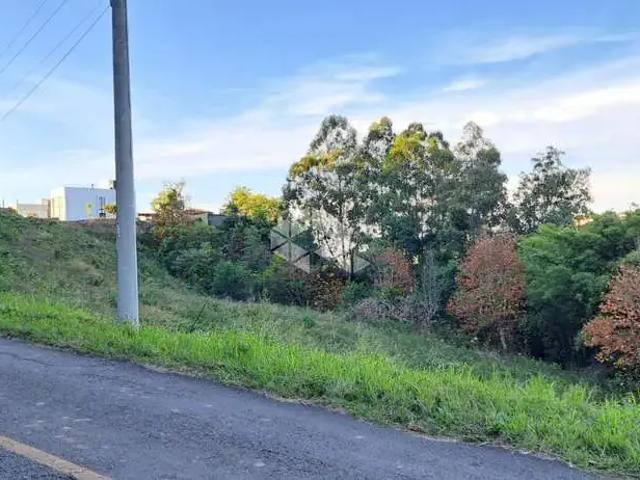 Terreno / Lote para Venda em Bento Gonçalves/RS Caminho da Eulália