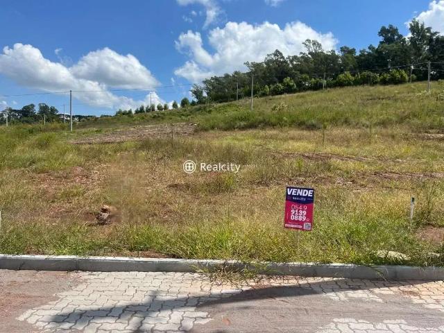 Terreno / Lote para Venda em Bento Gonçalves/RS Caminho da Eulália