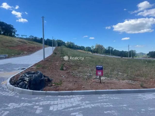 Terreno / Lote para Venda em Bento Gonçalves/RS Caminho da Eulália