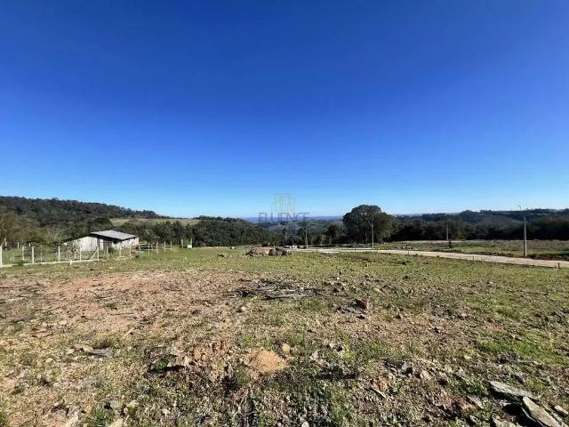 Terreno / Lote para Venda em Bento Gonçalves/RS Caminho da Eulália
