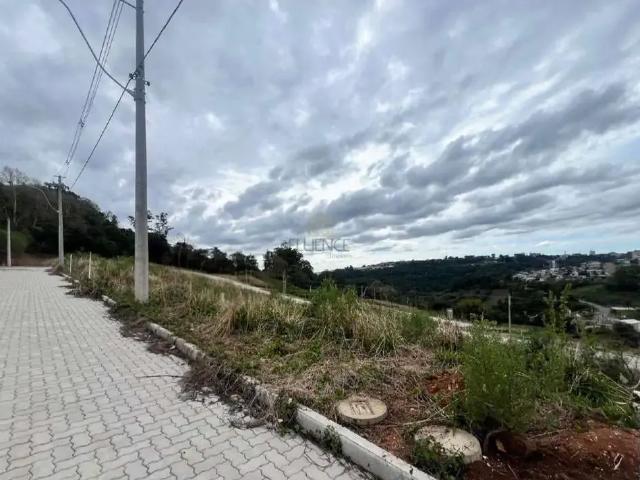 Terreno / Lote para Venda em Bento Gonçalves/RS Caminho da Eulália
