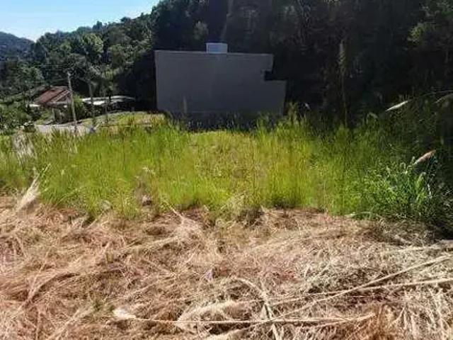 Terreno / Lote para Venda em Bento Gonçalves/RS Caminho da Eulália