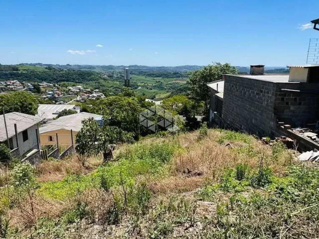 Terreno / Lote para Venda em Bento Gonçalves/RS Cidade Alta