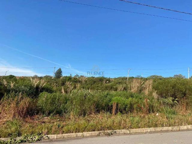 Terreno / Lote para Venda em Bento Gonçalves/RS Cruzeiro