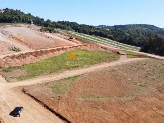Terreno / Lote para Venda em Bento Gonçalves/RS Cruzeiro