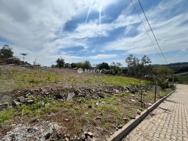 Terreno / Lote para Venda em Bento Gonçalves/RS Faria Lemos Distrito