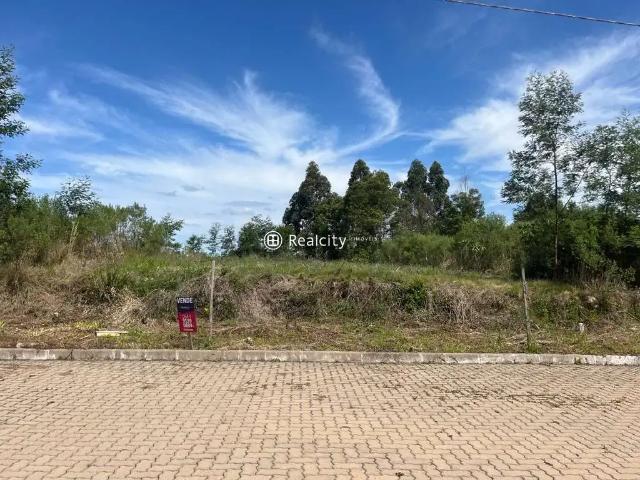 Terreno / Lote para Venda em Bento Gonçalves/RS Faria Lemos Distrito