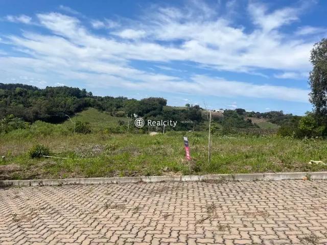 Terreno / Lote para Venda em Bento Gonçalves/RS Faria Lemos Distrito