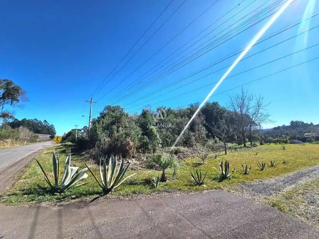 Terreno / Lote para Venda em Bento Gonçalves/RS Faria Lemos Distrito