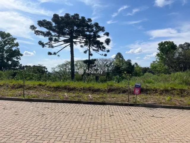 Terreno / Lote para Venda em Bento Gonçalves/RS Faria Lemos Distrito