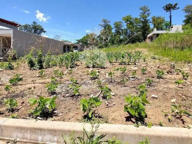 Terreno / Lote para Venda em Bento Gonçalves/RS Faria Lemos Distrito