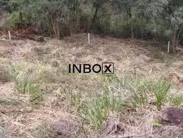 Terreno / Lote para Venda em Bento Gonçalves/RS Fátima
