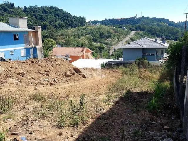 Terreno / Lote para Venda em Bento Gonçalves/RS Fátima