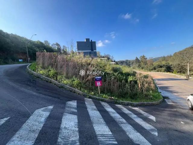Terreno / Lote para Venda em Bento Gonçalves/RS Fátima