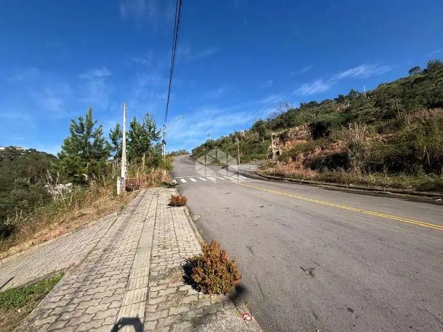 Terreno / Lote para Venda em Bento Gonçalves/RS Fátima