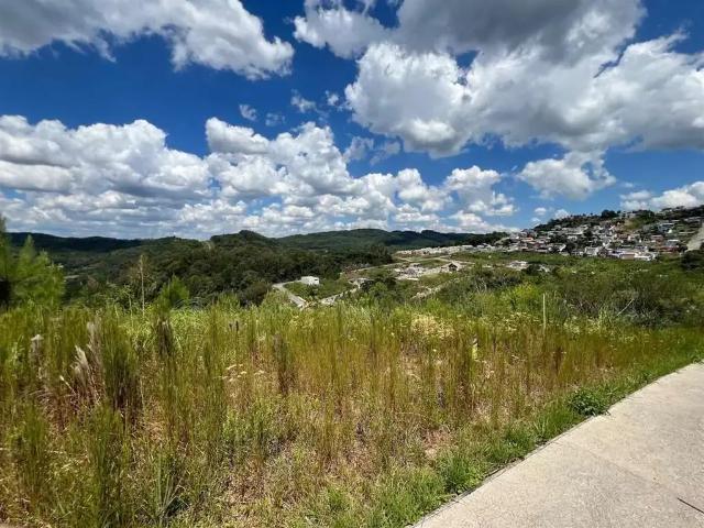 Terreno / Lote para Venda em Bento Gonçalves/RS Fátima