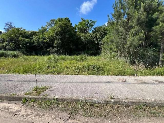 Terreno / Lote para Venda em Bento Gonçalves/RS Fátima