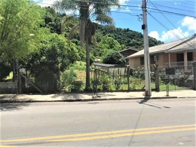 Terreno / Lote para Venda em Bento Gonçalves/RS Fátima