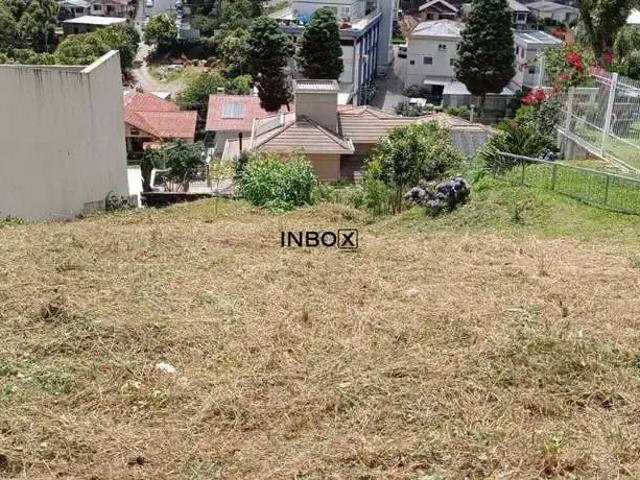 Terreno / Lote para Venda em Bento Gonçalves/RS Humaitá