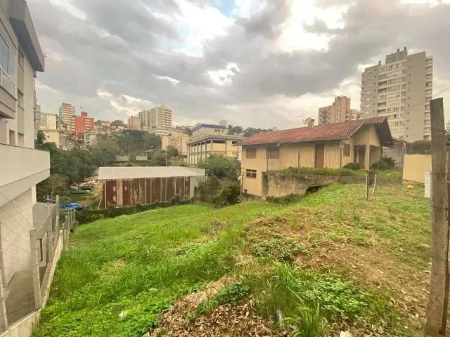 Terreno / Lote para Venda em Bento Gonçalves/RS Humaitá
