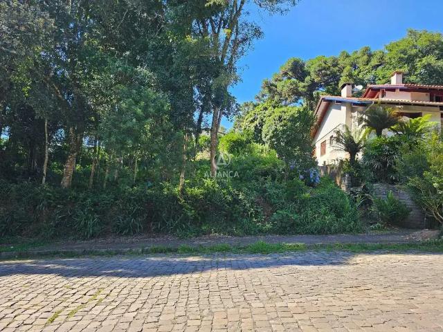 Terreno / Lote para Venda em Bento Gonçalves/RS Imigrante