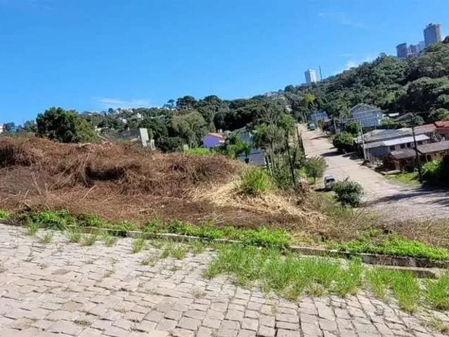 Terreno / Lote para Venda em Bento Gonçalves/RS Imigrante
