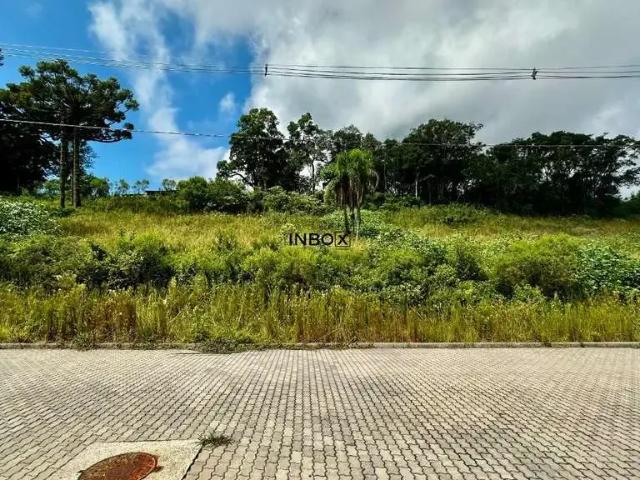 Terreno / Lote para Venda em Bento Gonçalves/RS Industrial