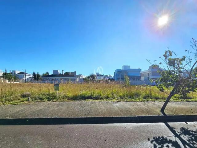 Terreno / Lote para Venda em Bento Gonçalves/RS Licorsul