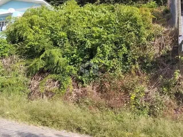 Terreno / Lote para Venda em Bento Gonçalves/RS Ouro Verde