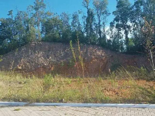 Terreno / Lote para Venda em Bento Gonçalves/RS Planalto
