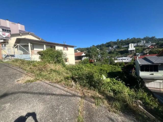 Terreno / Lote para Venda em Bento Gonçalves/RS Progresso
