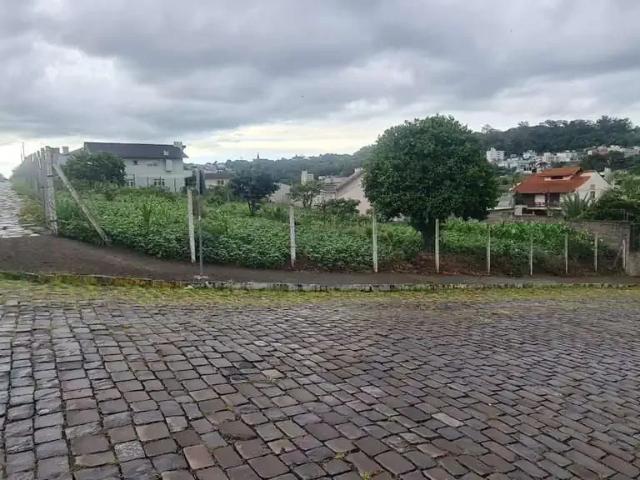 Terreno / Lote para Venda em Bento Gonçalves/RS Progresso