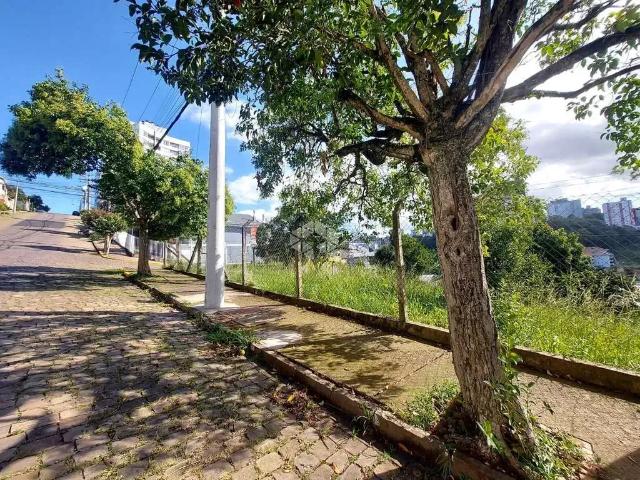 Terreno / Lote para Venda em Bento Gonçalves/RS São Francisco