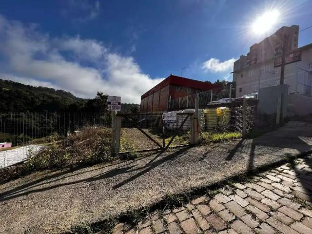 Terreno / Lote para Venda em Bento Gonçalves/RS São João