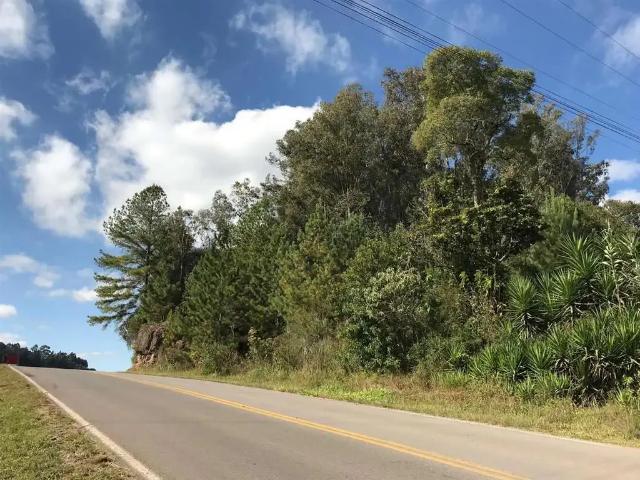 Terreno / Lote para Venda em Bento Gonçalves/RS São Pedro