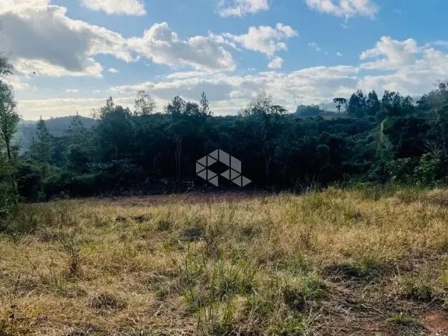 Terreno / Lote para Venda em Bento Gonçalves/RS São Pedro