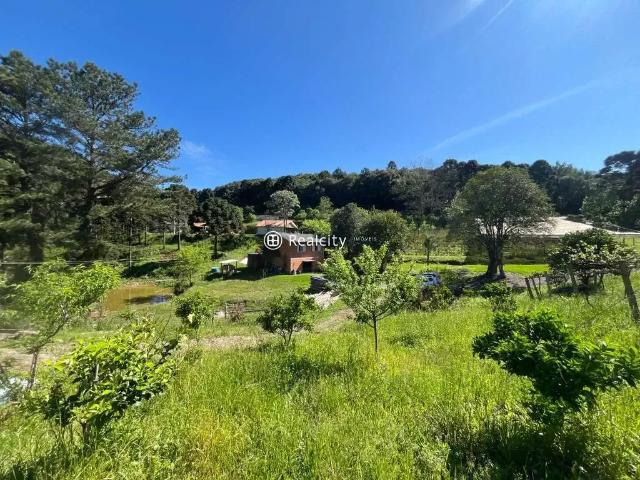 Terreno / Lote para Venda em Bento Gonçalves/RS São Pedro