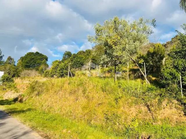 Terreno / Lote para Venda em Bento Gonçalves/RS São Pedro
