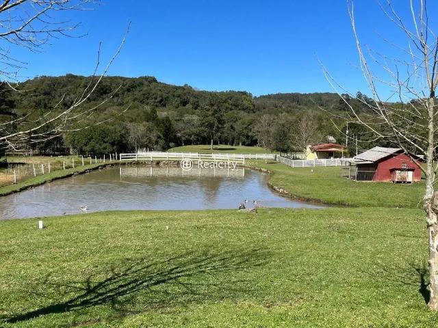 Terreno / Lote para Venda em Bento Gonçalves/RS São Pedro