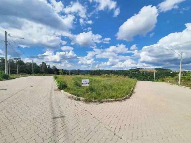 Terreno / Lote para Venda em Bento Gonçalves/RS São Roque